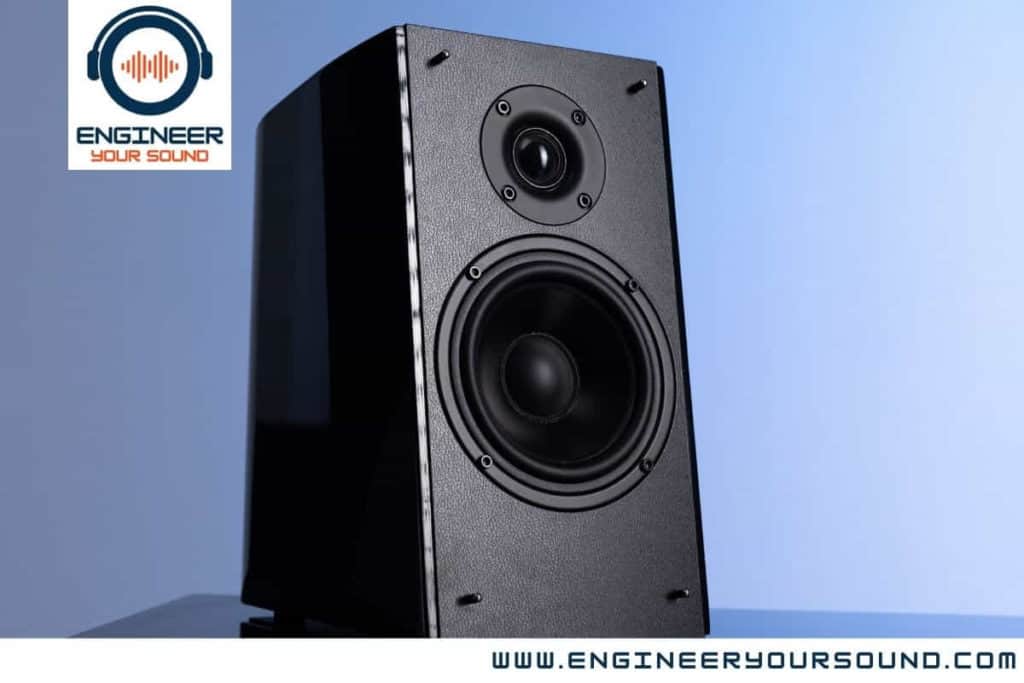 What Do We Mean By A 2-Way Speaker? (With examples) - Loudspeaker & Acoustic Engineering Design