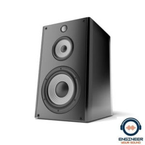 What Do We Mean By A 2-Way Speaker? (With examples) - Loudspeaker ...