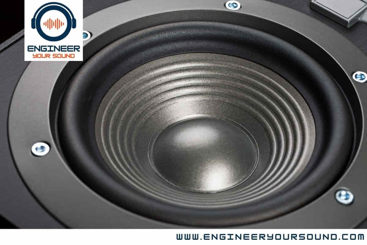 What Do The Ribs On A Speaker Cone Do? - Loudspeaker & Acoustic ...
